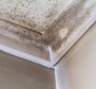 What is VOC? - AllergyConsumerReview